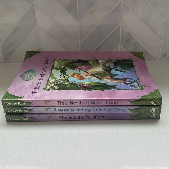 Disney | Toys | Disney Fairies Book Set Purple | Poshmark